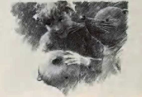 Skip's ESL BITS - English Language Learning - ESL Listening Stories ...